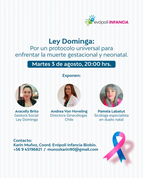 LEY DOMINGA: POR UN PROTOCOLO PARA ENFRENTAR LA MUERTE GESTACIONAL Y ...